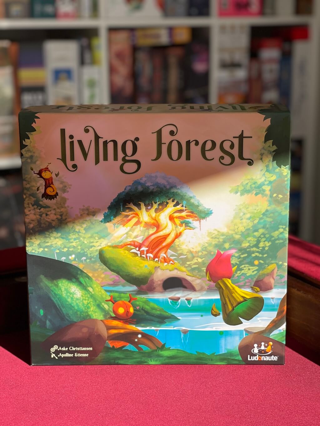 Living Forest - Test - Jeu de société - Akoa Tujou